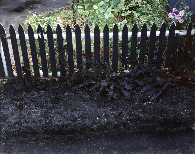 Summer 07, WM #4: GREGGORY BRADFORD & RICHARD GOLDSTEIN ON LEE PLESTED ...